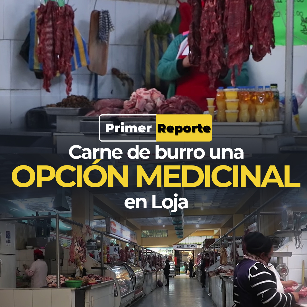 Carne de burro una opción medicinal en Loja – Primer Reporte